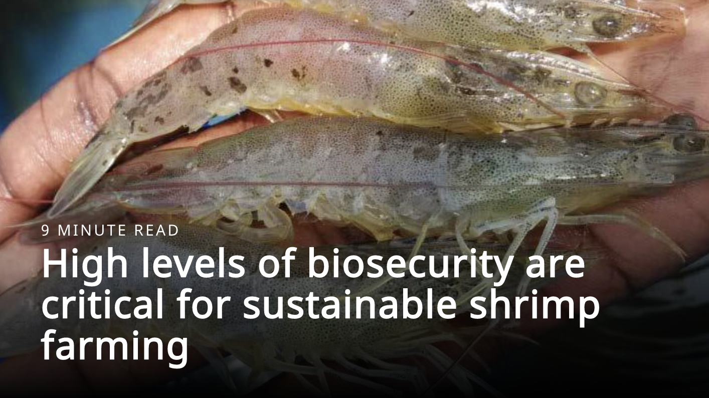 What is the definition of BioSecurity? - Genics